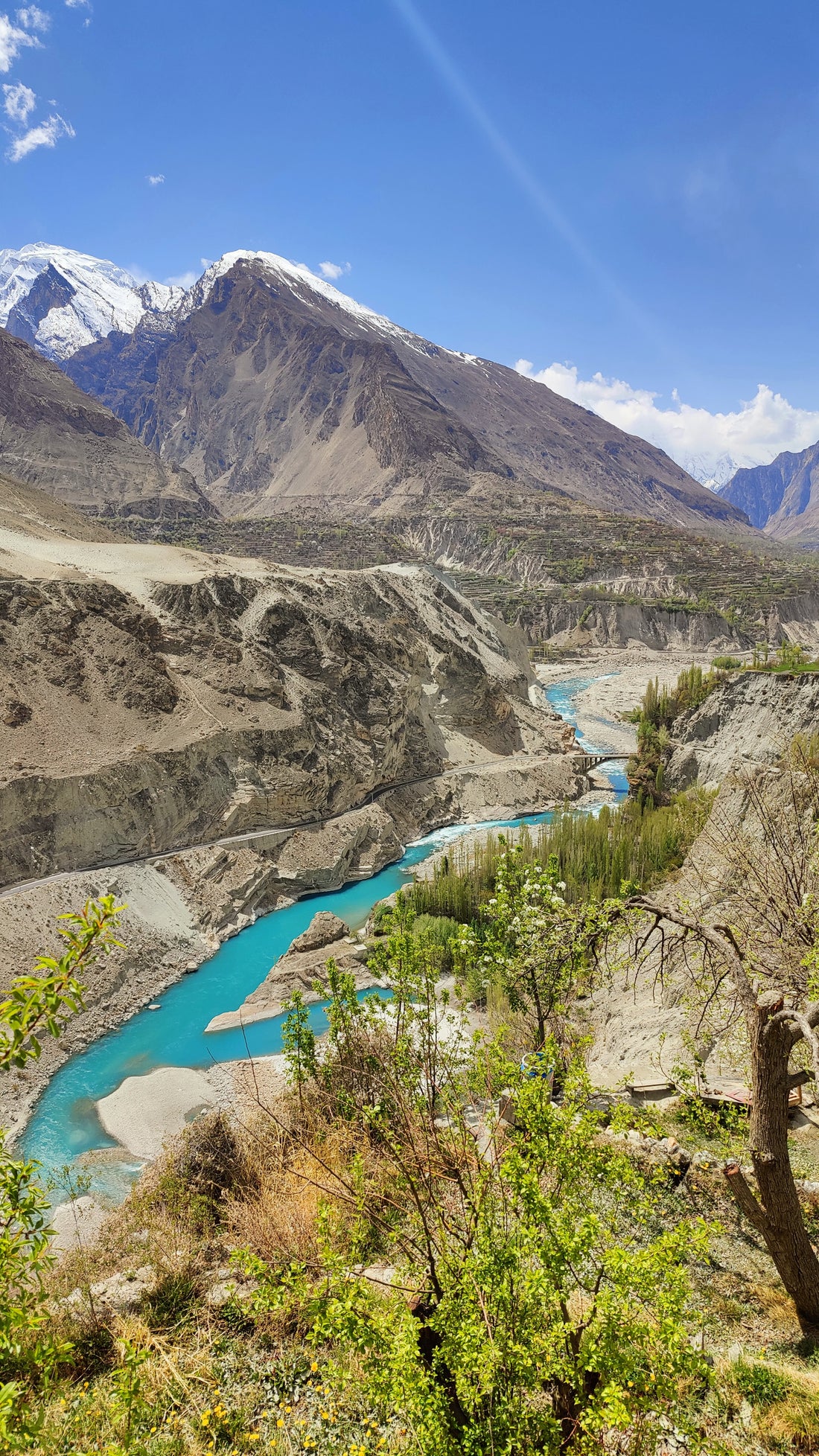 Shop Daltas | The Finest Dried Fruits and Nuts from the Mountains